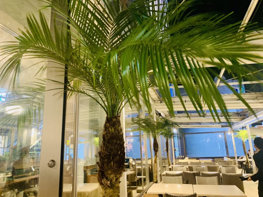 【仙台市】こういうの待ってた！！PARCO2屋上に期間限定のビアガーデンがOPEN！！5FのアロハテーブルのBBQも最高って知ってた ...